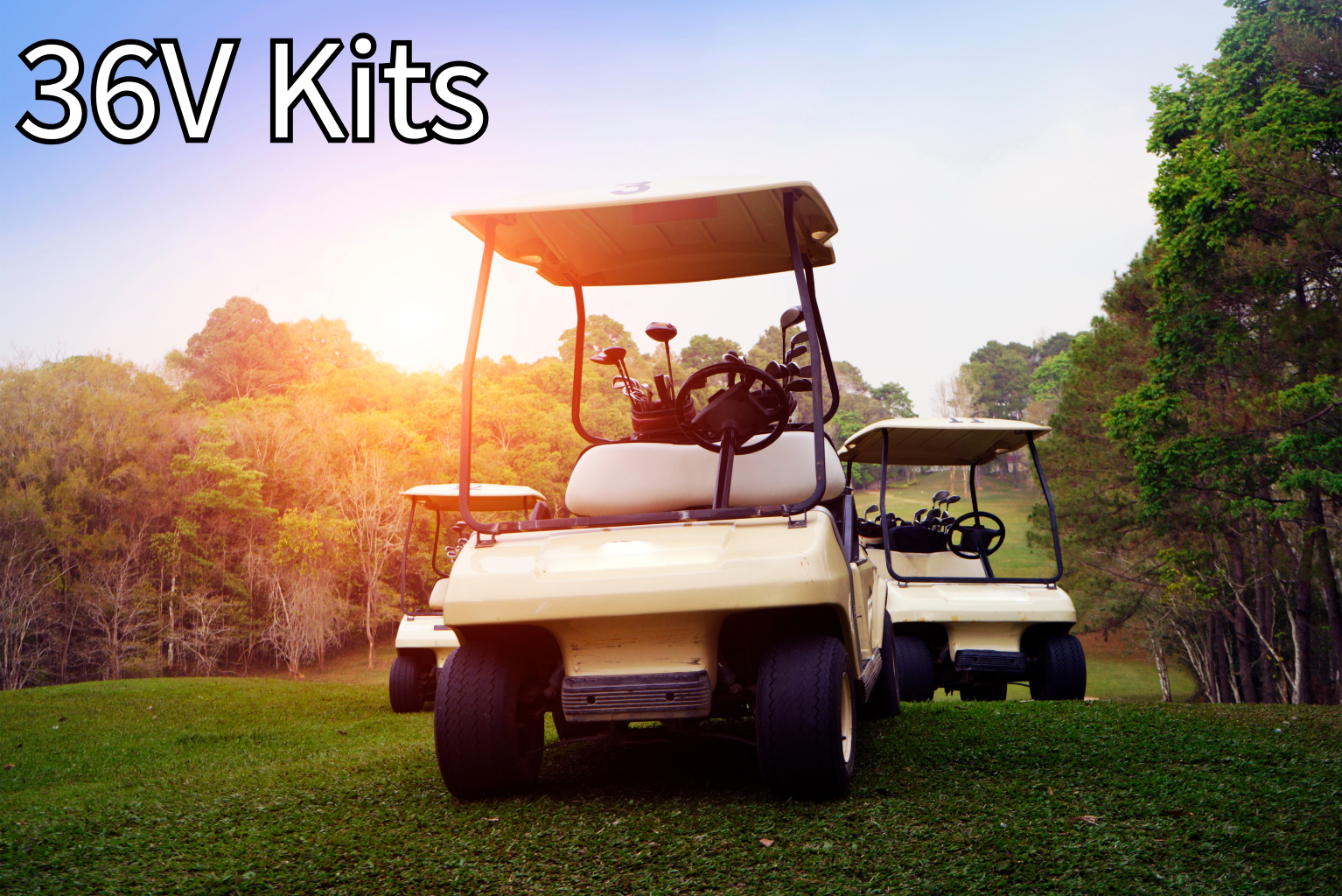 EagleLite 38.4V LiFePO4 Golf Cart Kits w/ BlueTooth